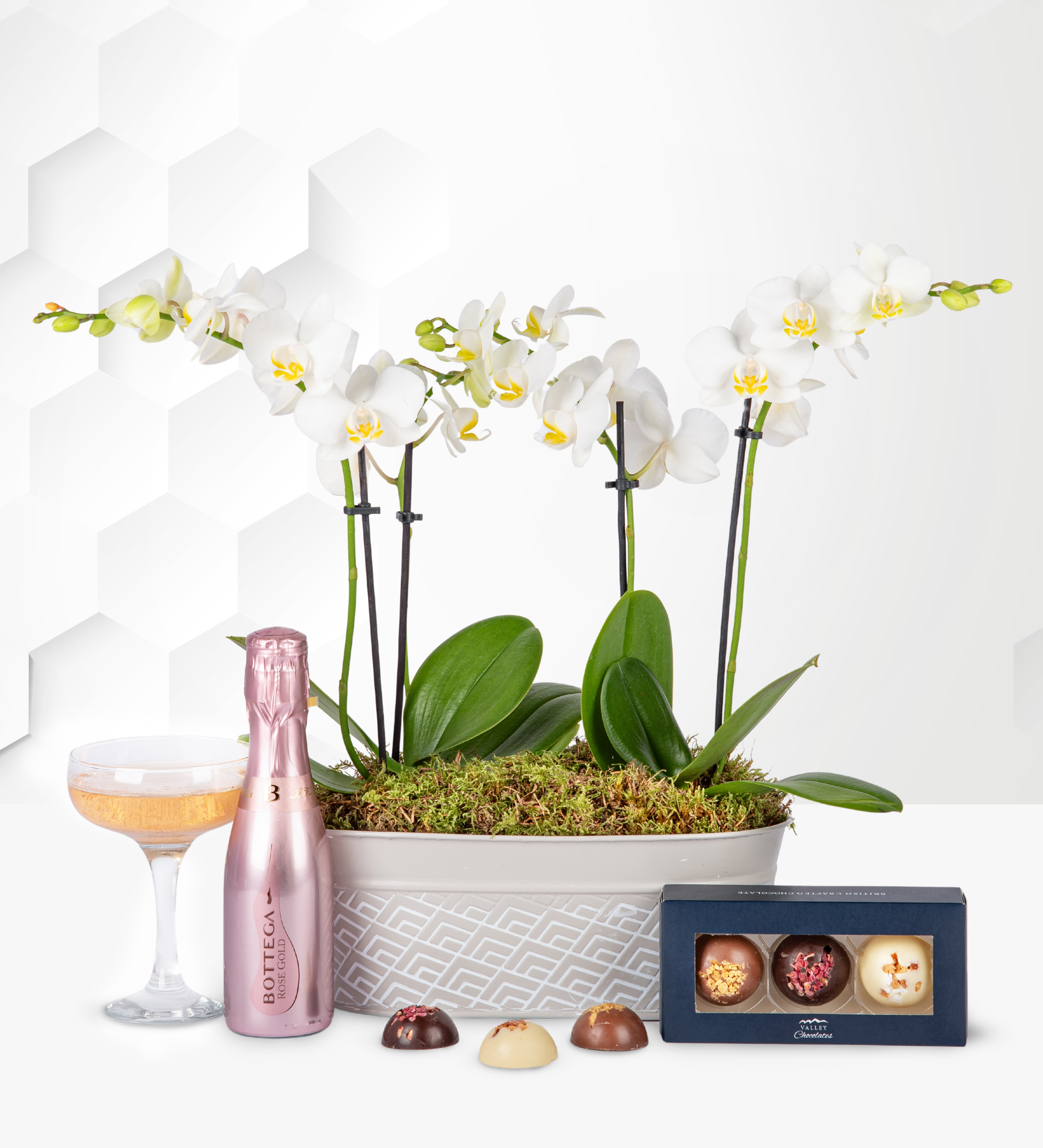 Deluxe Orchid Gift | Prestige Flowers